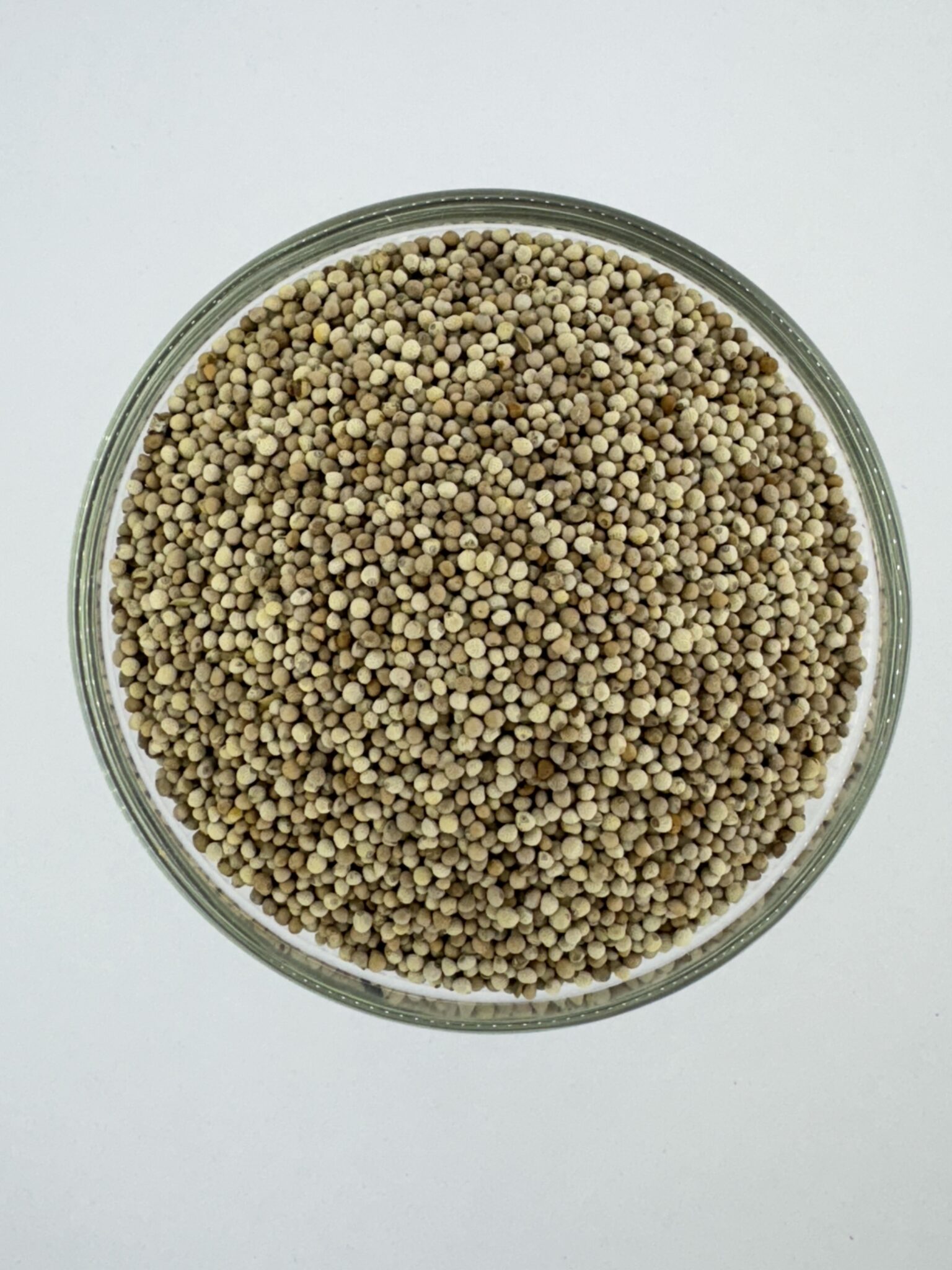 Buy Silam (सिलाम) at Best Price In Nepal