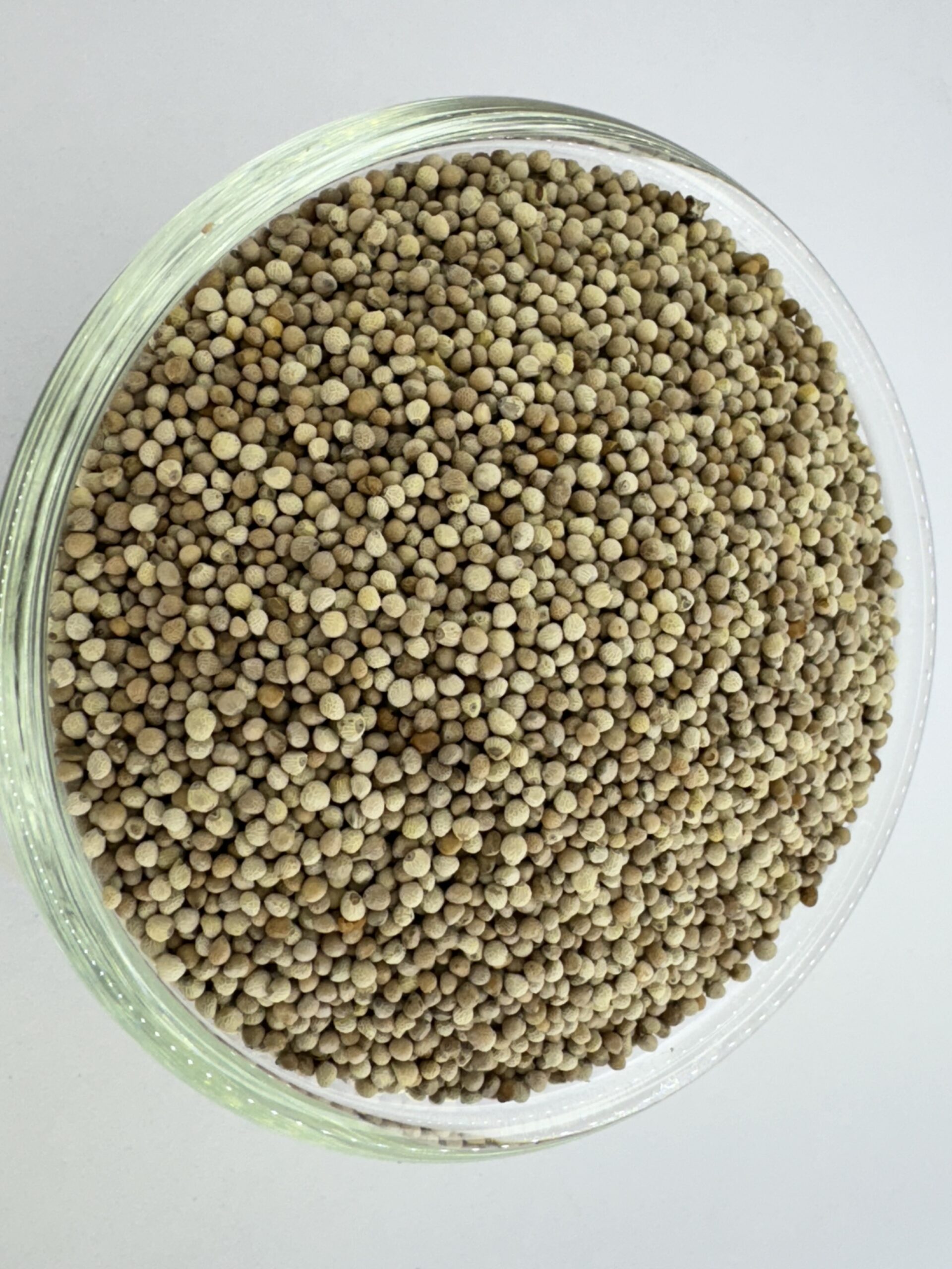 Buy Silam (सिलाम) at Best Price In Nepal